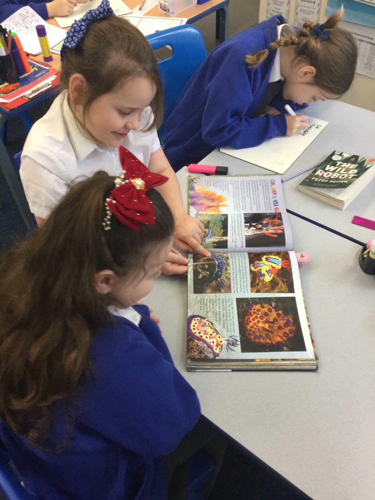 Class 2 - RBK Federation